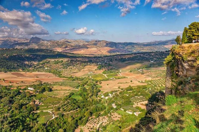 Private Day Trip to Ronda From Marbella - Guide Expertise and Professionalism