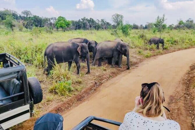 Private Day Trip To Sigiriya Dambulla and Safari From Trincomalee - Discovering Sigiriya: Climbing the Lion’s Rock