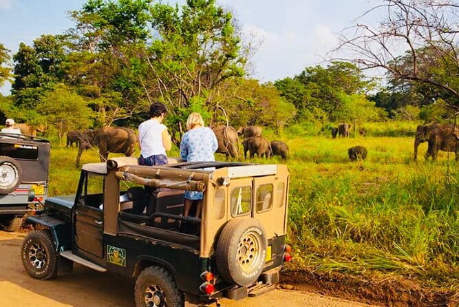 Private Day Trip To Sigiriya Dambulla and Safari From Trincomalee - Exploring the Best of Sri Lanka in a Single Day: An In-Depth Review of the Private Sigiriya, Dambulla, and Safari Tour
