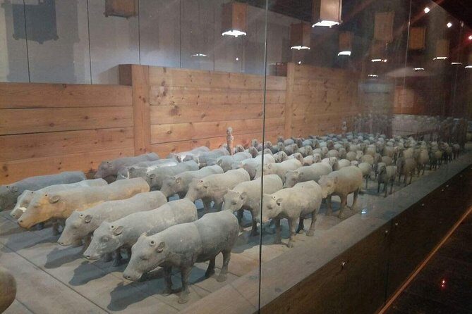 Private Day Trip to Terracotta Warriors and Jingdis Tomb - An In-Depth Look at the Tour Experience