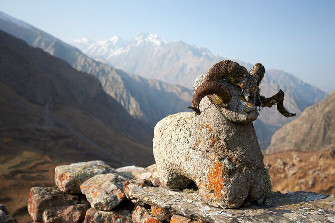 Private Day Trip to the Caucasus Mountains and the Russian Border - Tour Experience and Flexibility