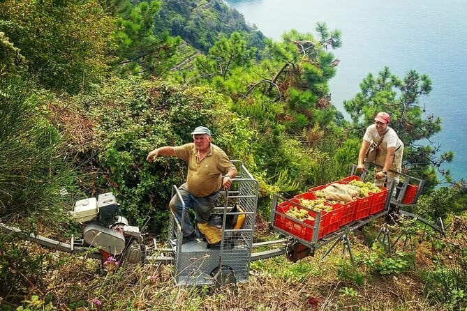 Private Day Trip to the Cinque Terre from Florence - The Sum Up