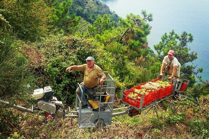 Private Day Trip to the Cinque Terre from Florence - The Sum Up: Who Will Love This Tour?