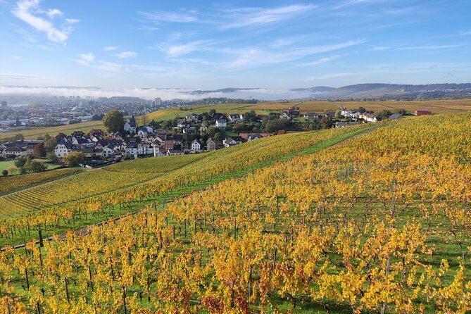 Private Day Trip to the Romantic Rhine Valley With River Cruise and Wine Tasting - Taking in Rüdesheim Am Rhein
