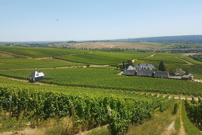 Private Day Trip to the Romantic Rhine Valley With River Cruise and Wine Tasting - Indulging in Rhine River Cruise