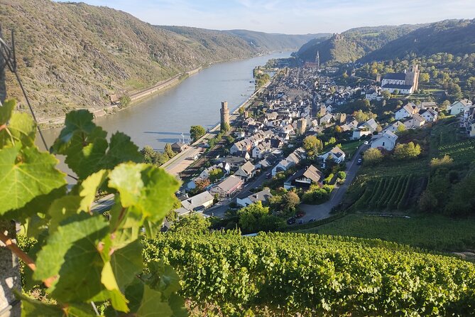 Private Day Trip to the Romantic Rhine Valley With River Cruise and Wine Tasting - Savoring the Winemaking Experience