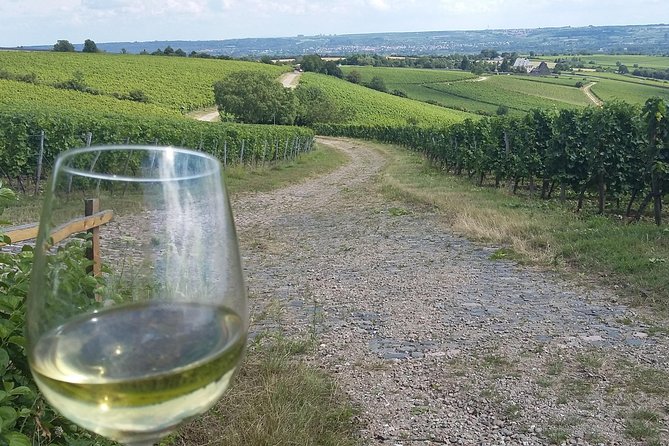 Private Day Trip to the Romantic Rhine Valley With River Cruise and Wine Tasting - Customizing Your Itinerary