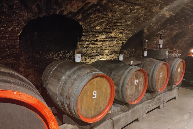 Private Day Trip to the Romantic Rhine Valley With River Cruise and Wine Tasting - Meeting and Pickup Arrangements