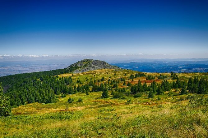 Private Day Trip to the Vitosha Mountain and Pancharevo Lake - Discovering Vitosha Mountain
