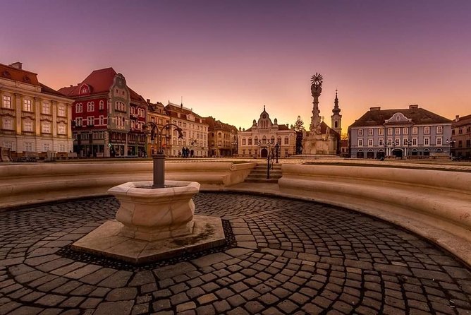 Private Day Trip to Timisoara From Belgrade - Tour Inclusions and Features