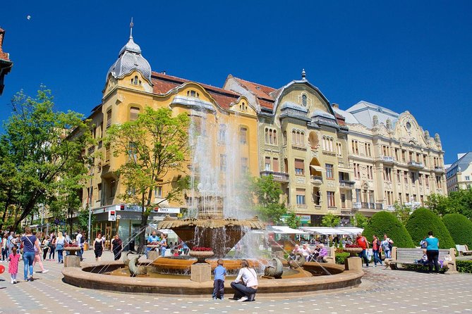 Private Day Trip to Timisoara From Belgrade - Culinary Delights and Local Cuisine