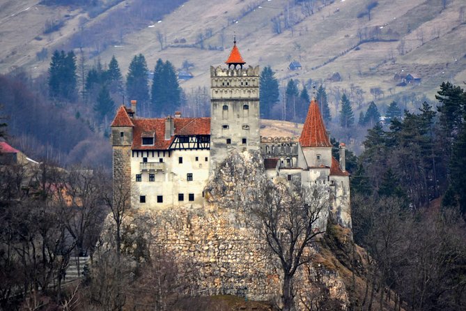 Private Day Trip to Transylvania: Dracula Castle, Royal Palace, Brasov Old Town - Bran Castle: The Legend of Dracula