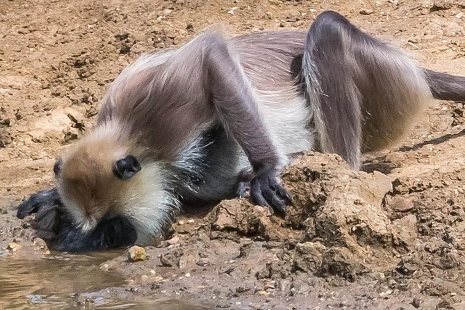 Private Day Trip to Yala National Park from Colombo - Final Thoughts