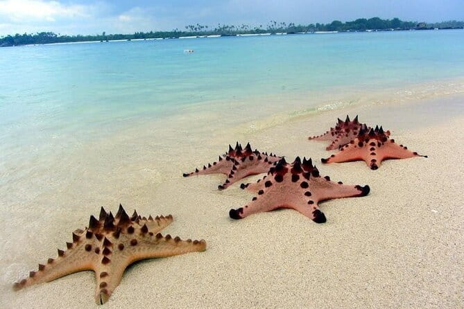 Private Day Trip Tour To Secret Gilis - A Closer Look at the Itinerary