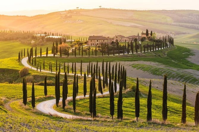 Private Day Trip Tuscany Landscape and Wine Tasting from Florence - Key Points