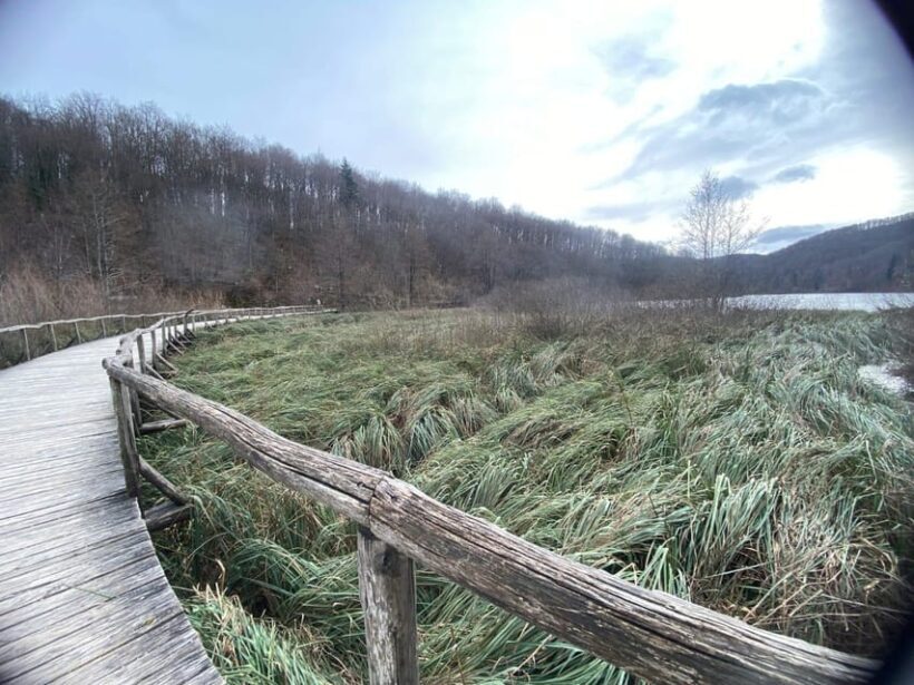 Private Day Trip Zagreb-Plitvice Lakes National Park - Authentic Insights from Reviews