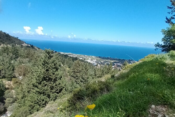 Private Day Walk in the Nature Near Kyrenia, Cyprus - What’s Included and What’s Not