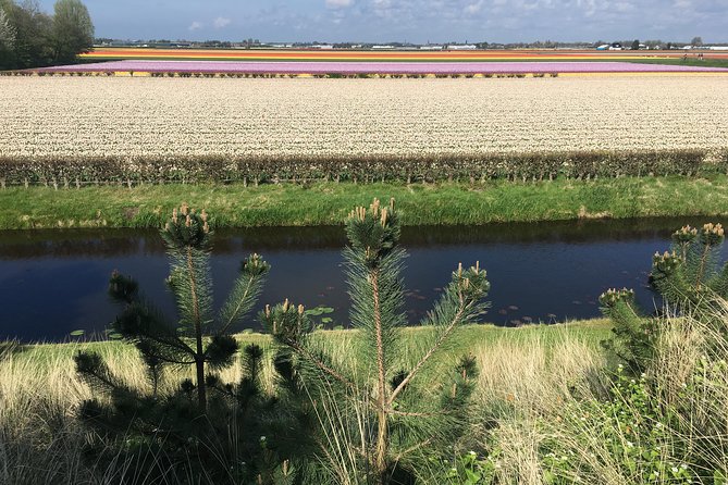 Private Daytour From Amsterdam Into the Countryside - Exploring the Dutch Countryside