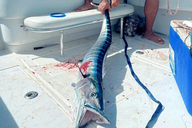 Private Deep Sea Fishing Experience in Grand Cayman - An In-Depth Look at the Experience