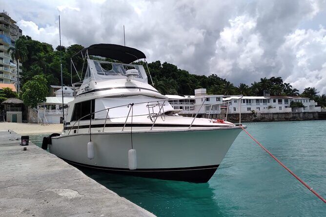Private Deep Sea Fishing in Montego Bay - Key Points