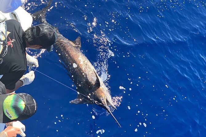 Private Deep Sea Full-Day Fishing Charter in Hawaiian Waters - Final Thoughts