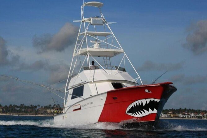 Private Deep Sea Sport Fishing Charter in Punta Cana - The Experience: What You Can Expect