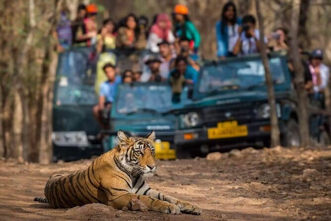 Private Delhi Agra Jaipur Multi Day Tour - Discover the Ultimate Indian Adventure with the Private Delhi, Agra, Jaipur & Ranthambore Tour
