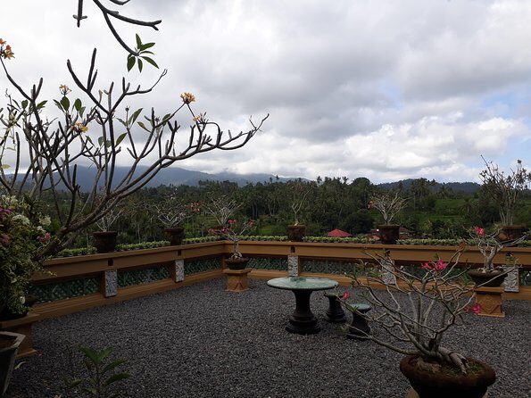 Private Denpasar City Tour Package - What Makes This Tour Stand Out