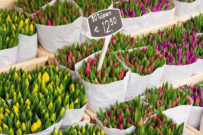 Private Departure Transfer From AMSterdam to Schiphol Airport (AMS) - Customizing Your Departure Time