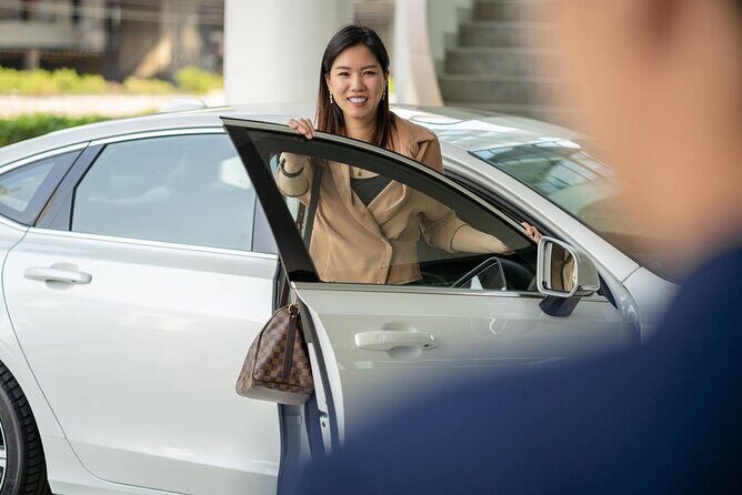 Private Departure Transfer: From Hotel in Hoian to Danang International Airport - Key Points