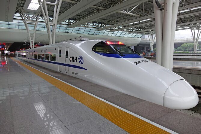 Private Departure Transfer: Hotel to Shanghai Hongqiao Railway Station - What to Expect from the Transfer Service
