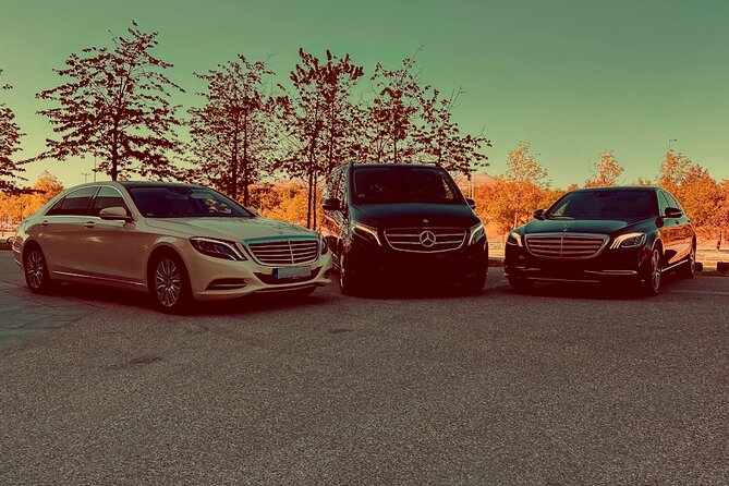 Private Departure Transfer: Schiphol Airport Amsterdam - Key Points