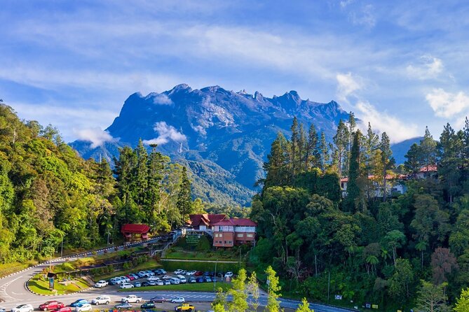 Private Desa Dairy Farm, Kinabalu National Park, Hot Spring & Canopy Walk Tour - The Experience in Practice: What Real Travelers Say