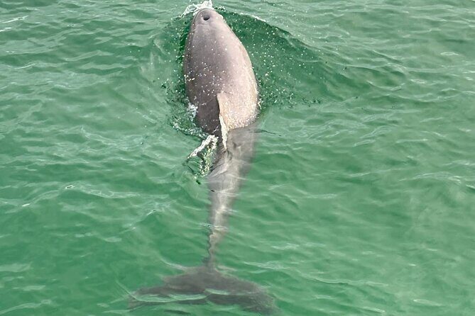 Private Destin Harbor Boat Tour Adventure - FAQ