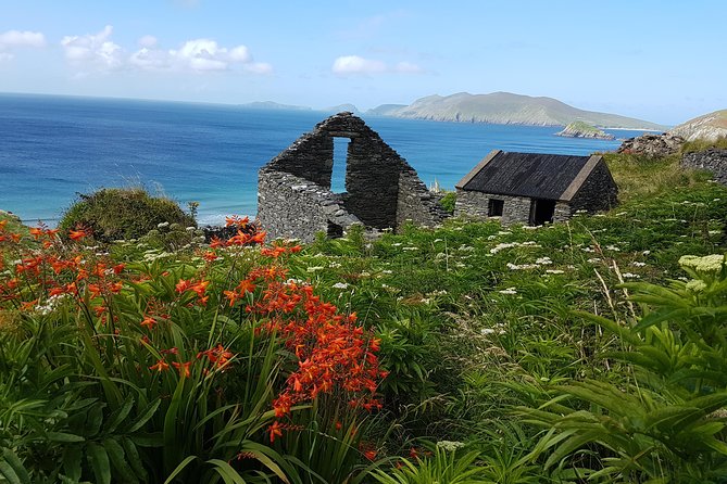 Private Dingle Peninsula Full-Day Tour - Tour Experience