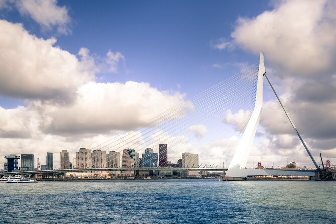 Private direct transfer from Amsterdam to Rotterdam - The Drive: Practical Comfort and Local Insights