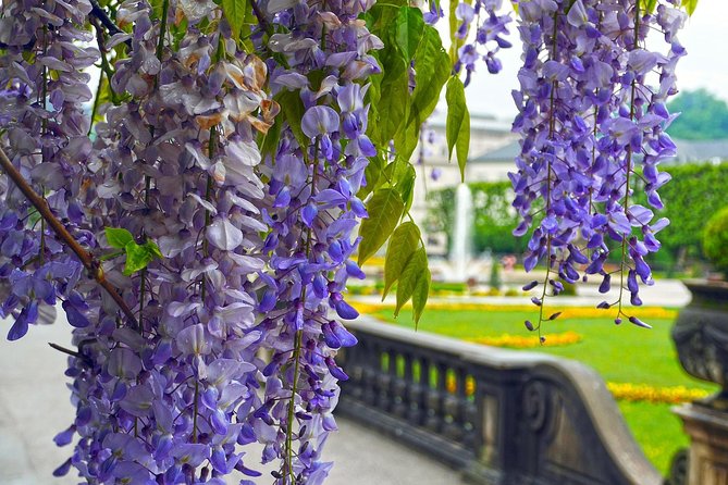 Private direct transfer from Munich Airport to Salzburg - Additional Benefits