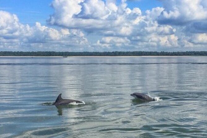 Private Disappearing Island Dolphin Tour - The Value Question: What’s Included and What’s Not?