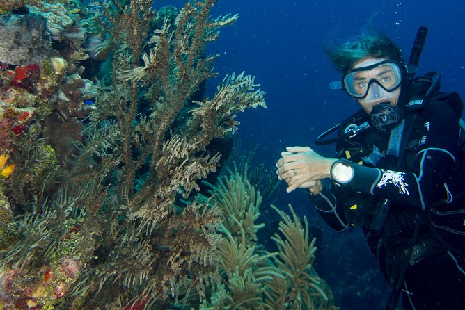 Private Discover Scuba Diving - Accessibility and Participation