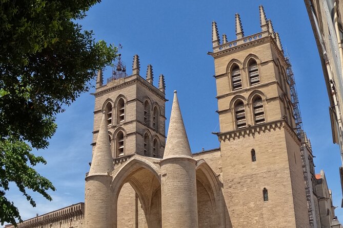 Private Discovery of Montpellier by Bike-Taxi Review - Recommendations and Considerations