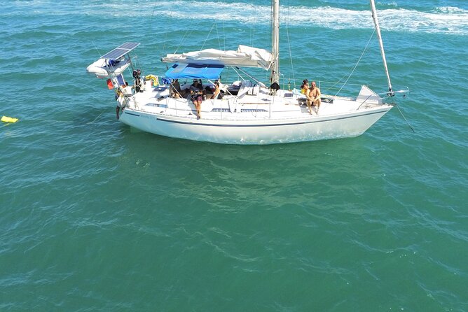 Private Discovery of the Camargue by Sail - Traveler Reviews and Recommendations