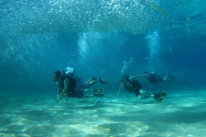 Private Dive Boat for Certified Divers - Cabo San Lucas - The Experience in Detail