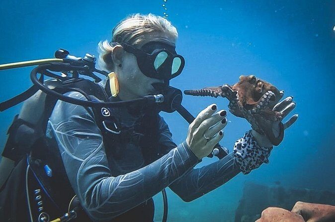 Private Dive + videographer/Photographer (Certified divers only) - The Sum Up