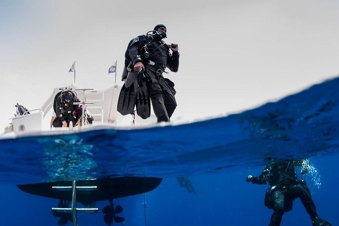 Private Diving at Zenobia Wreck in Larnaka - What You Can Expect from the Zenobia Private Dive