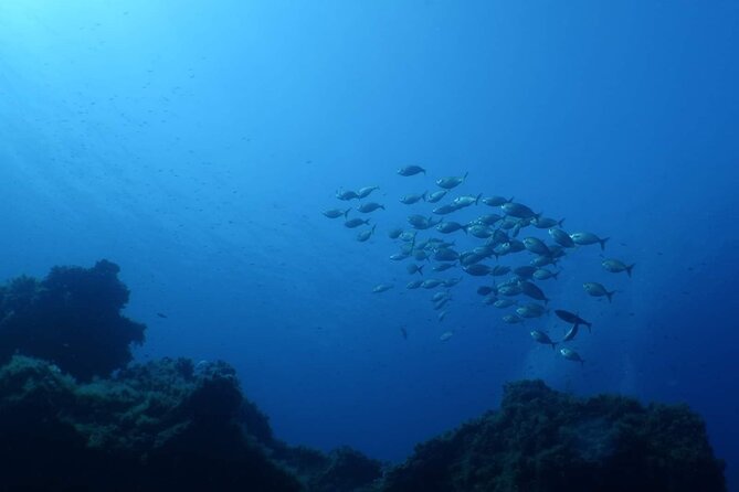 Private Diving Baptism in the Golf of Calvi - Location and Accessibility of the Diving Center