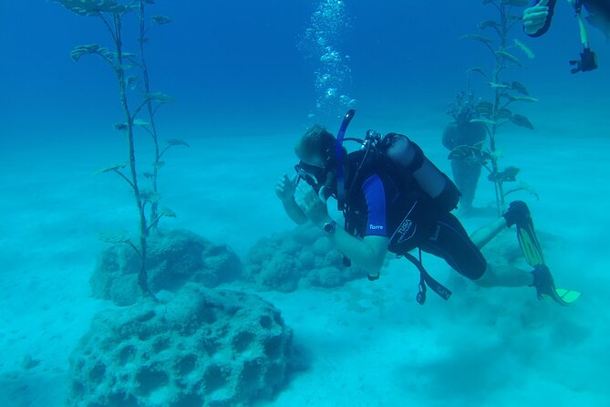 Private Diving Cyprus Experience Protaras and Ayia Napa & Turtles - Discovering the Underwater World