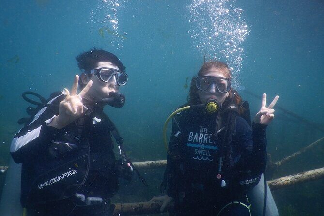 Private Diving Experience in Nusa Dua with Hotel Pick Up - What to Expect from the Bali Nusa Dua Private Diving Tour