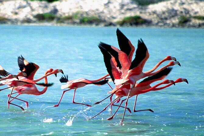 Private Diving & Southside tour - Introducing the Private Diving & Southside Tour