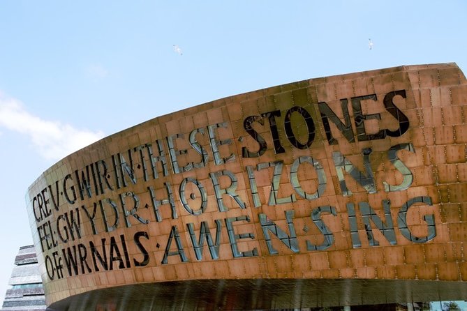 Private Doctor Who Walking Tour of Cardiff - Who Should Book This Tour?