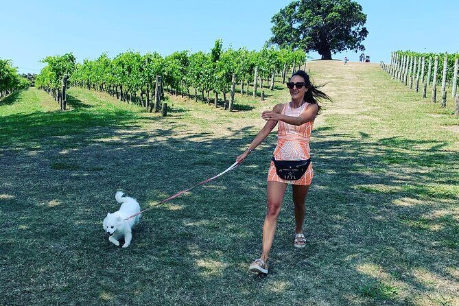 Private Dog Friendly Wine Tour with your Local Guide - An In-Depth Look at the Tour